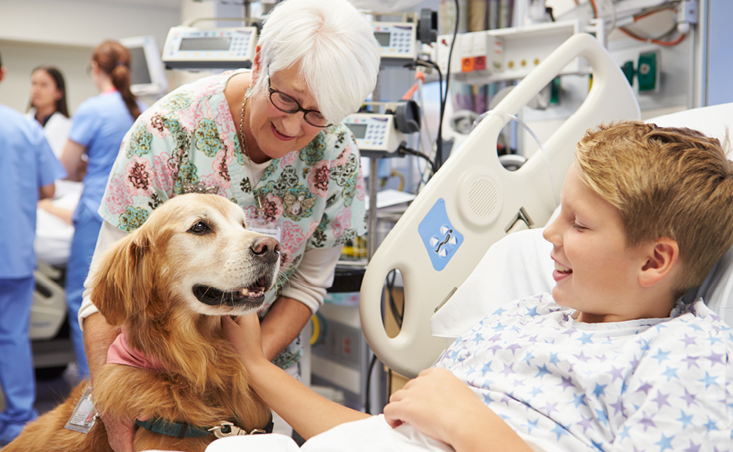 What Are the Benefits of Pet Therapy? | ACE Blog