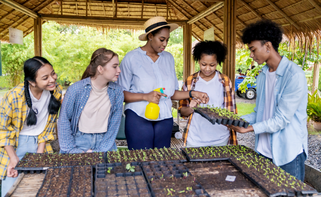 Stop Learning Loss and Engage Students During Break | ACE Blog