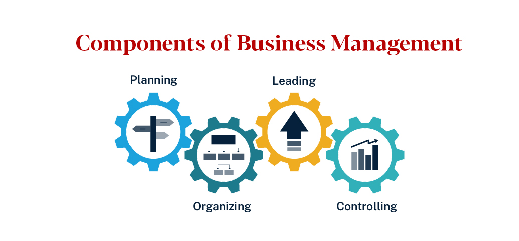 What Is Business Management? A Guide for Aspiring Managers | ACE Blog